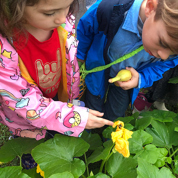 Nature Academy - Elachee Nature Science Center